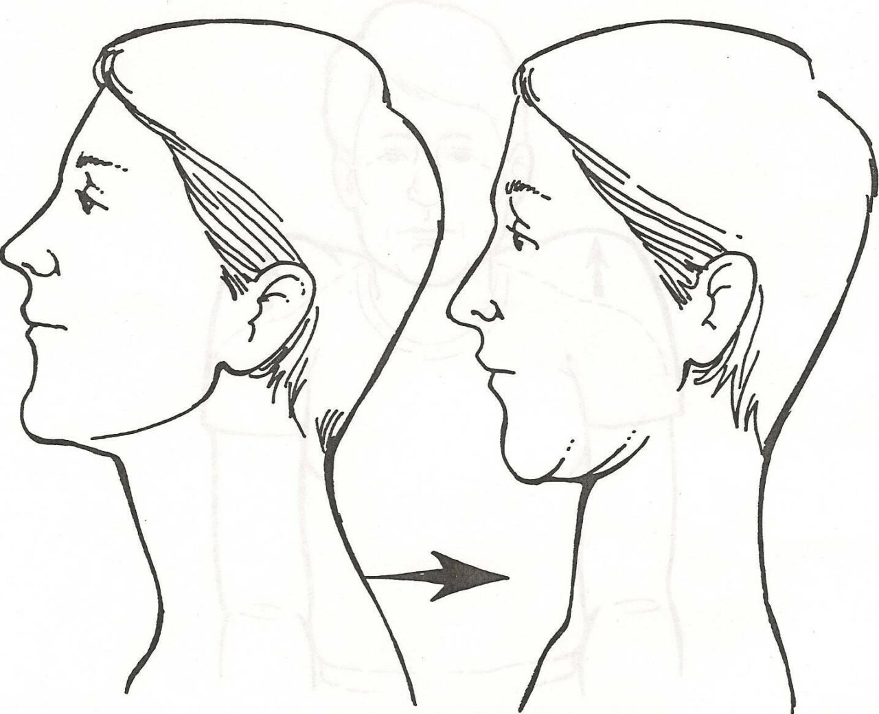 Big Five: Postural Stretching Exercises | Center for Wellness Medicine